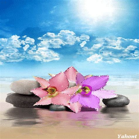 Wallpaper Beach  At Mike Lucy Blog