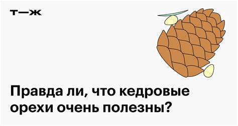 Кедровые орехи польза состав БЖУ сколько съедать в день возможный вред