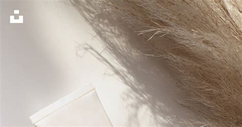 하얀 테이블 위에 앉아 있는 크림 튜브 사진 Unsplash의 무료 스킨케어 제품 이미지