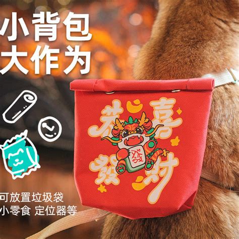 寵物專用牽引繩 貓咪牽引繩 狗狗牽引繩 背心式 防掙脫 遛狗 遛貓 繩 外出 神器 小型犬 創意 個性 實用 寵物用品 蝦皮購物