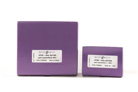 ATAC Seq Kit Proteintech