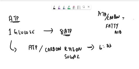 SOLVED Calculate The ATP Yield From Total Oxidation Of 2 Moleculs Of Glucose And The ATP Yield