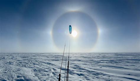Leopard Seals Sex Life Almost Revealed Polar Journal