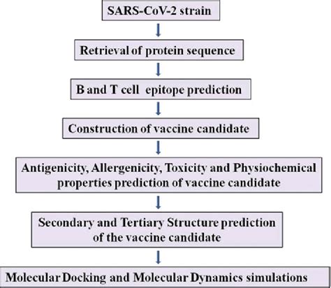 Flow Chart Depicting In Silico Vaccine Design Strategies Against Novel Download Scientific