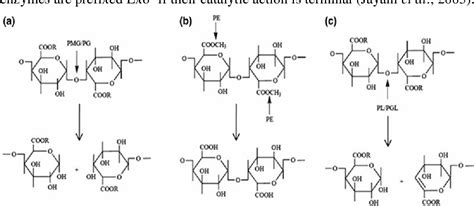 Table 35 From Production And Purification Of Pectinase And Its