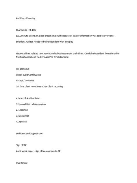 Auditing Plan Wps Office Pdf