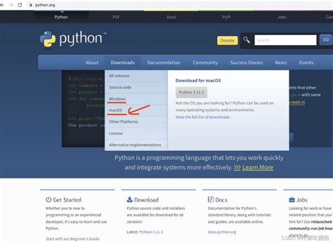 mac安装python3 10和配置环境的详细教程 因特网