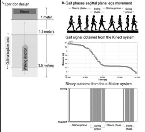 Relation Between The Gait Signal And Each Gait Phases Download Scientific Diagram