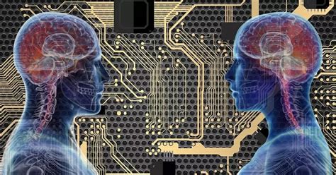 A New Deep Learning Model Distinguishes Males From Females Using Brain Images United States