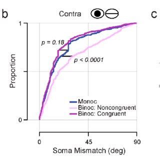 Binocular Congruent Inputs Exhibit Highest Degree Of Functional Download Scientific Diagram