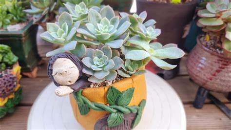 무름온 핑크베라 정리해서 모닥모닥 심어줘요😊😊 Youtube