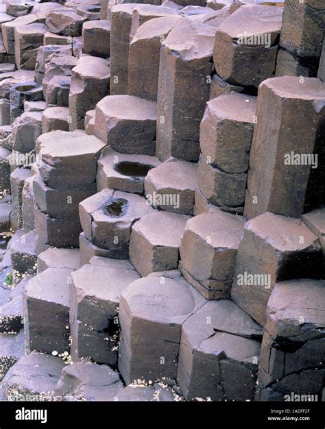 Giants Causeway Basalt Column Formation Known As The Giants Causeway In County Antrim