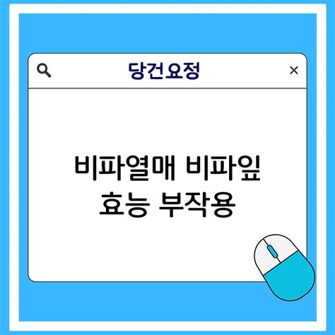 비파열매 비파잎 효능 부작용