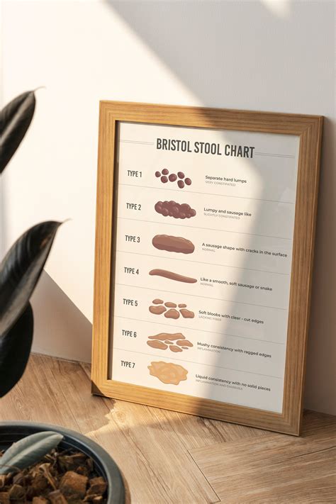 Bristol Stool Chart Digestive Health Guide Digital Download Etsy