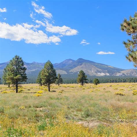 The 15 Best Things To Do In Winslow 2026 Must See Attractions
