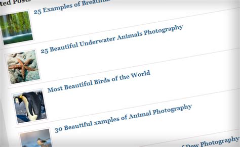 7 Best Free Wordpress Related Posts Plugins In 2024 Wpshopmart
