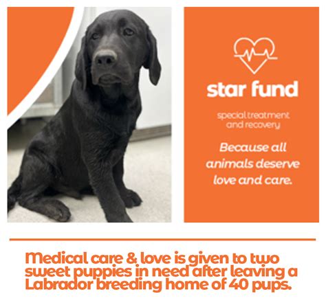 Newsletterstarfund Spokane Humane Society
