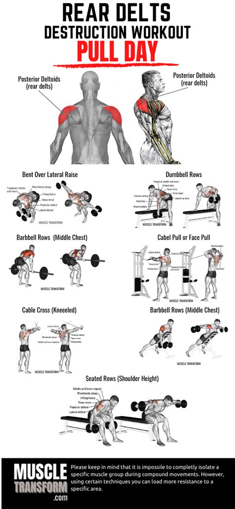 10 Rear Delts Shoulder Workout To Stimulate Growth Shoulder Workout Deltoid Workout Rear