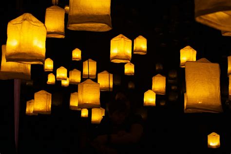 공중에 떠 있는 한 무리의 종이 등불 사진 Unsplash의 무료 광 이미지
