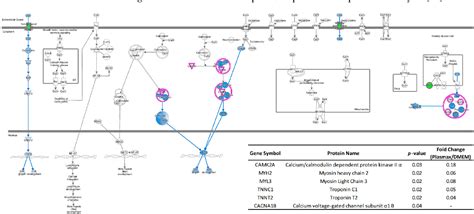Figure From Comparative Transcriptomics And Proteomics Of Cancer Cell Lines Cultivated By