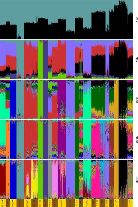 Population Structure From Admixture Analysis For K 2 6 11 16 And