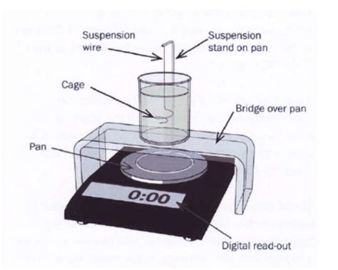 Weight Density Specific Gravity Flashcards Quizlet