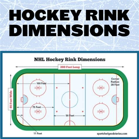 Field Court And Rink Dimensions For Various Sports