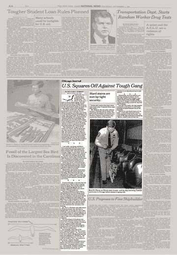 Chicago Journal Us Squares Off Against Tough Gang The New York Times