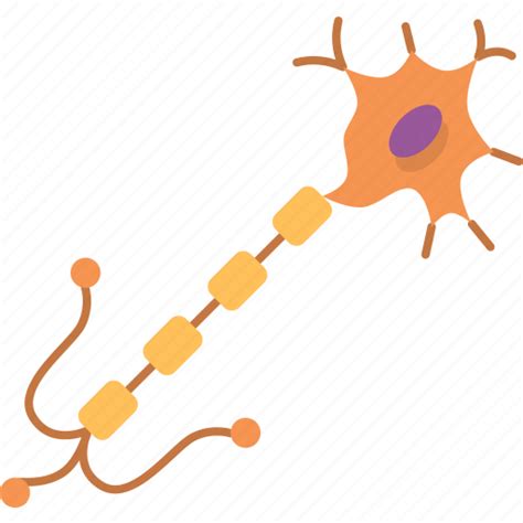 Cells Nerve Dendrites Sensory Microscopic Icon Download On Iconfinder