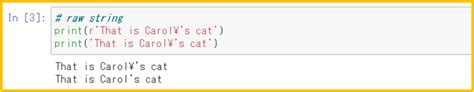 Python 基礎 文字列処理 英究特許ライブラリ