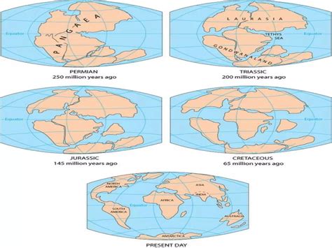 Continental Drift Theory Pdf