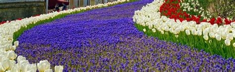 sai kumar b on linkedin how to get the latest sap fiori design in