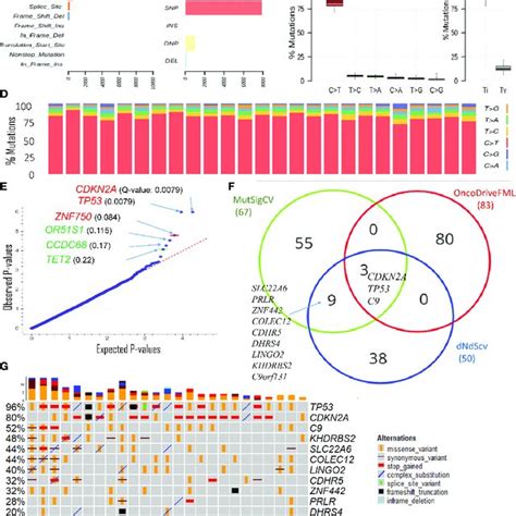 Overview Of Key Coding Mutations A Variants Classification B Download Scientific Diagram