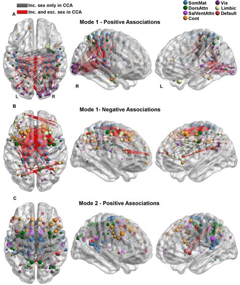 Connectivity Edges Most Strongly Expressed By The Significant Modes