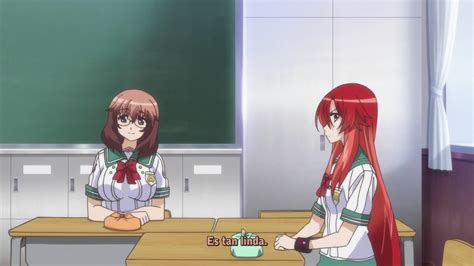 Dakara Boku Wa H Ga Dekinai CapÍtulo 04 Hd EspaÑol ~ Anime Cdv