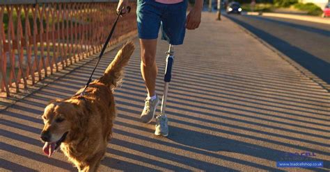 Load Cells In Intelligent Artificial Limbs