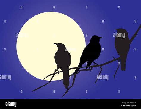 Vector Illustration Of Birds Stock Vector Image And Art Alamy