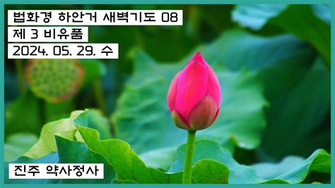 2024 05 29 법화경 산철새벽기도 제 3 비유품 YouTube