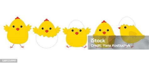 만화 부활절 닭의 세트 재미있는 닭은 흰색 배경에 있습니다 디자인과 인쇄를 위한 광택 귀여운에 대한 스톡 벡터 아트 및 기타