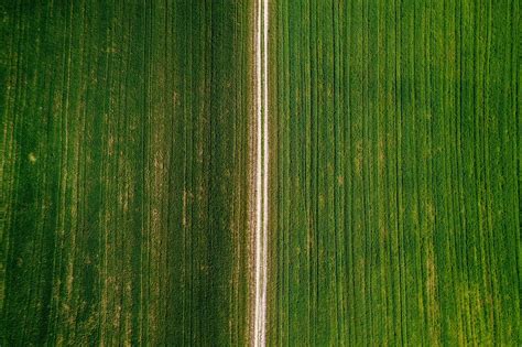 12 Ways To Make Python Work With Other Programming Languages By Aman Kardam Phd Python In