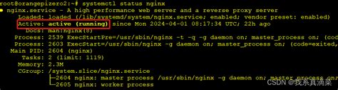 Linux下nginx详解linux Nginx Csdn博客