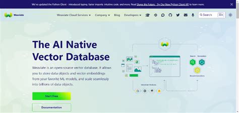 12 Best Pinecone Alternatives 2025