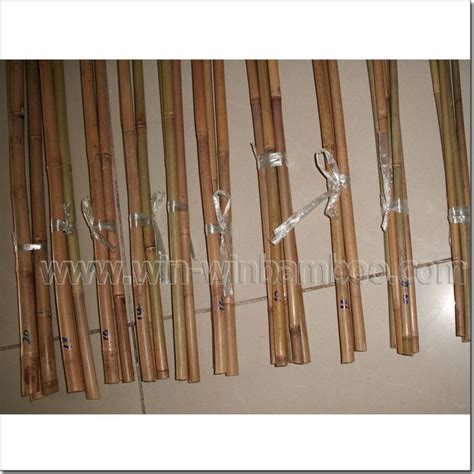 Бамбуковые коллеги-биологические тростники BC045