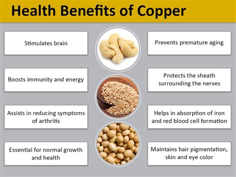 Copper Uses In Human Body