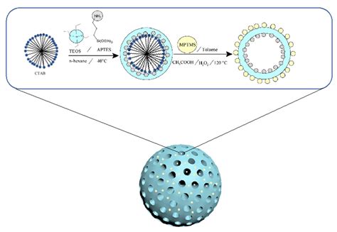 Membranes Free Full Text Fabrication Of Polysulfone Surface