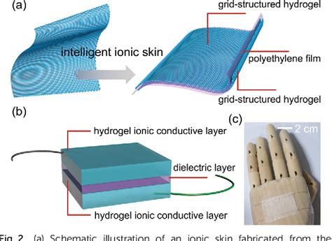 Figure 5 From A Multifunctional Skin Like Sensor Based On A 3d Printed