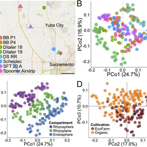 Root Associated Microbiomes From Field Grown Plants Are Separable By Download Scientific