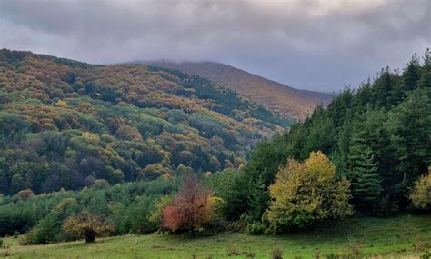 Център Изида Център Изида Added A New Photo