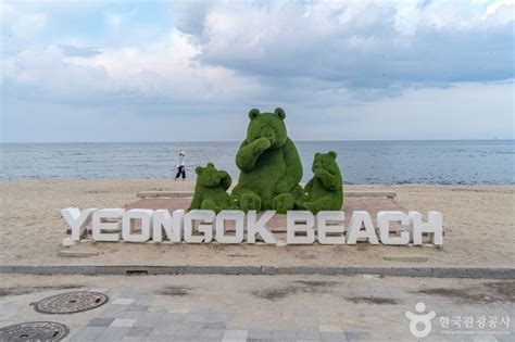 Exploring The Cultural Features Of Gangneung City In South Korea Including Songjeong Beach And