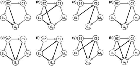 Directed Acyclic Graphs Depicting Our Candidate Path Models Ah The